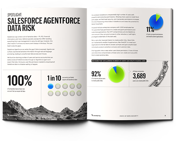 State of Data Security Report 2025